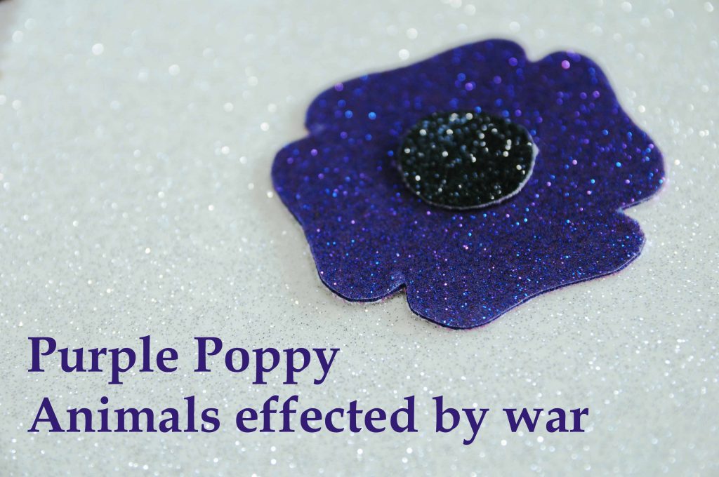 Poppy Appeal : Make Your Own Remembrance Poppy - Fabric Blog